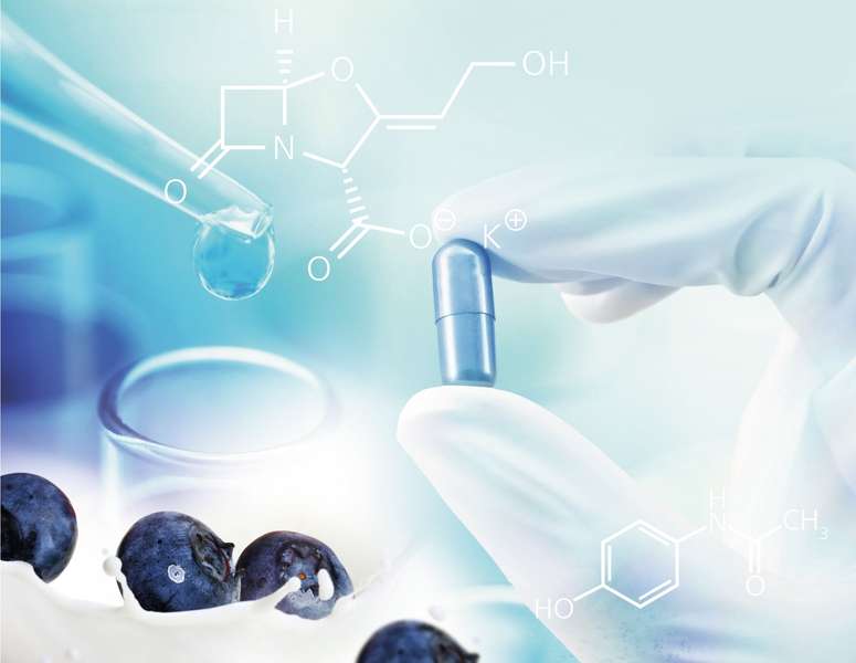 Life Sciences - NETZSCH Analyzing & Testing Life Sciences - NETZSCH Analyzing & Testing
