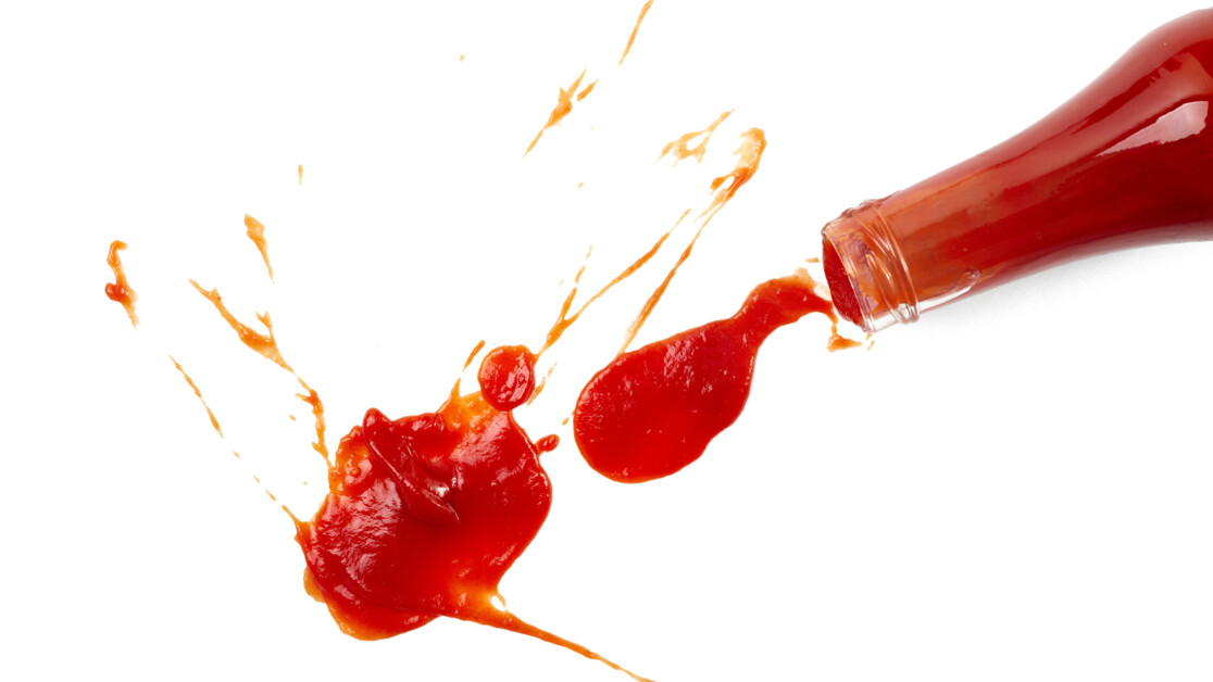From the Bottle to the Plate: Flow Process of Ketchup - NETZSCH ...