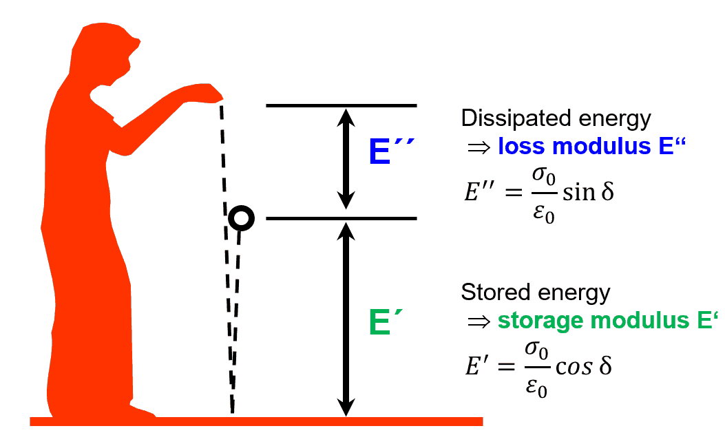 How Water Influences the Mechanical Properties of Polymers - NETZSCH ...
