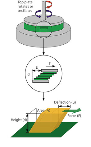 Rotational Rheometers - NETZSCH Analyzing & Testing