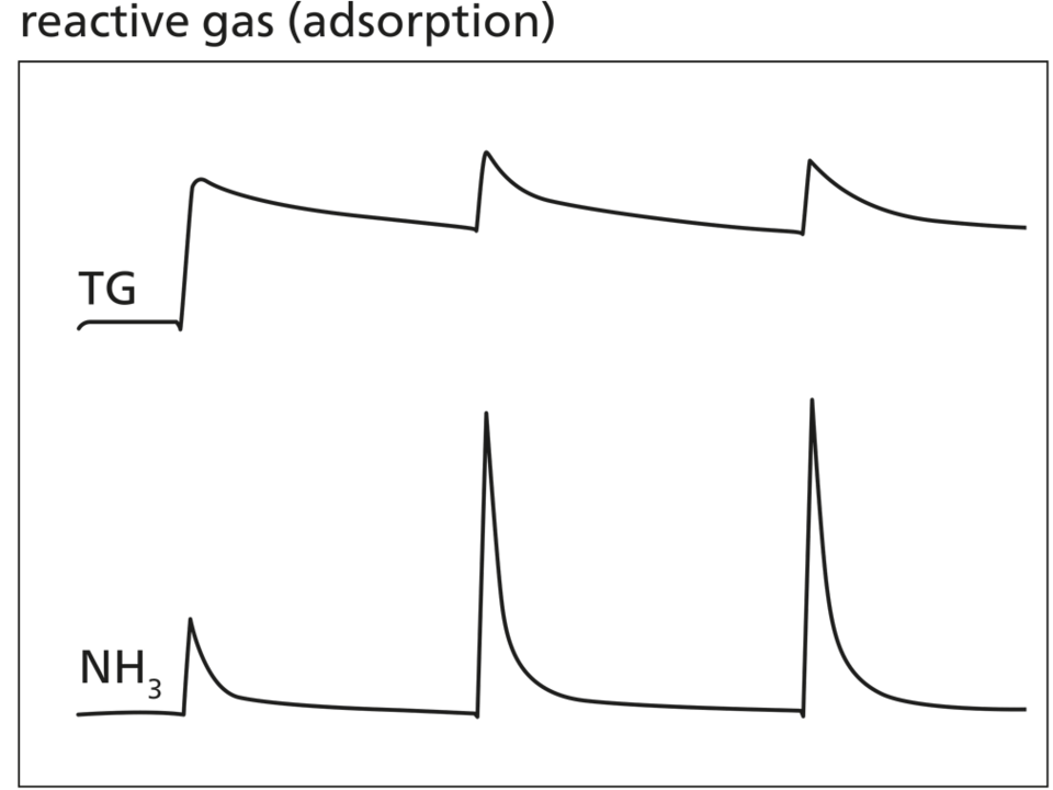 Evolved Gas Analyzer (EGA, coupled to Thermal Analyzer) - NETZSCH ...