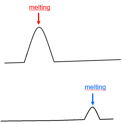 Drug-Excipient Compatibility Check - NETZSCH Analyzing & Testing